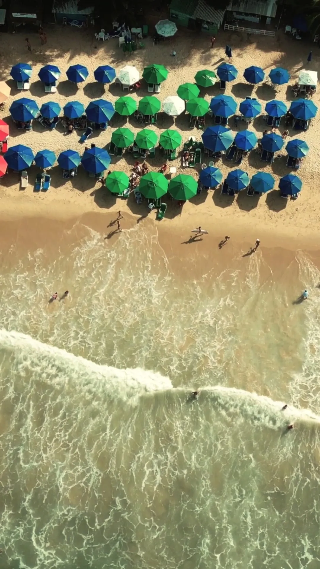 Stock Video from the Catch the Sun Pack | Packsia