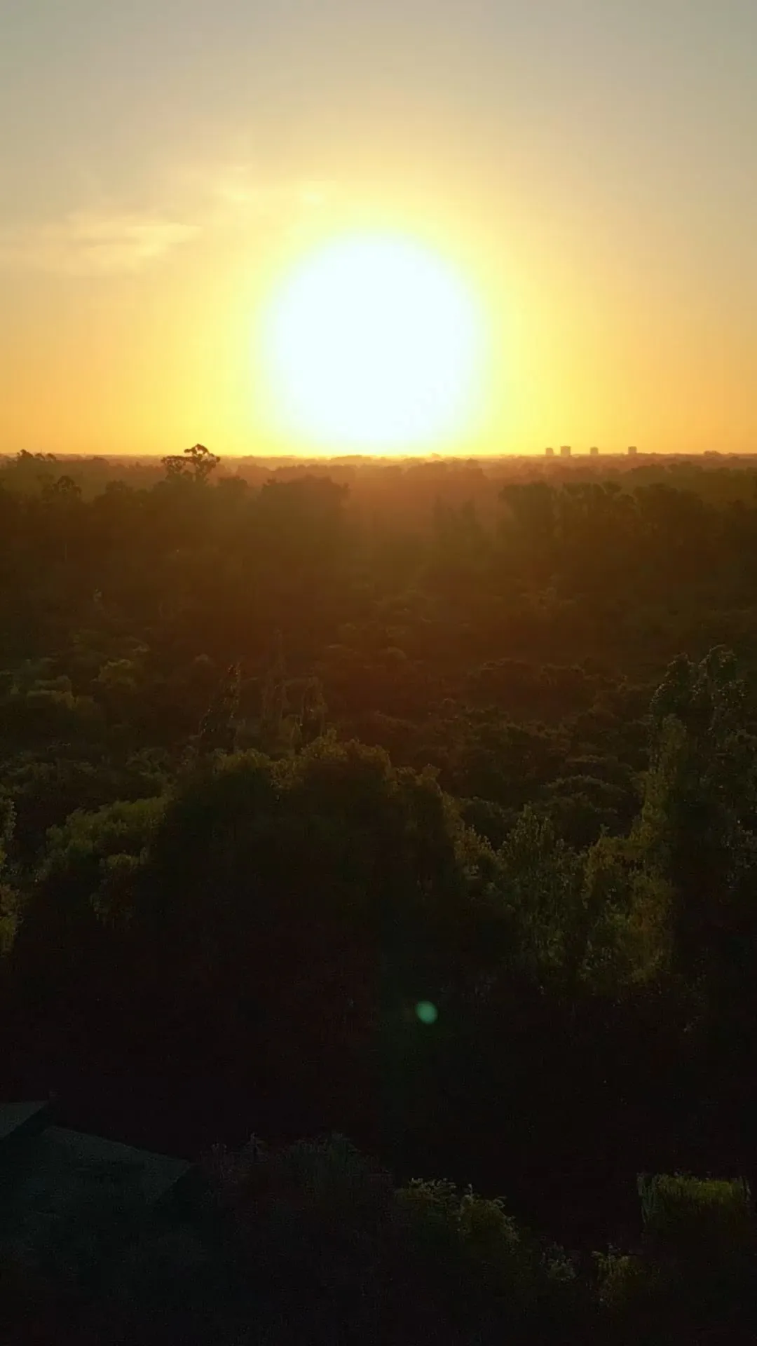 Stock Video from the Utah Foliage Pack | Packsia