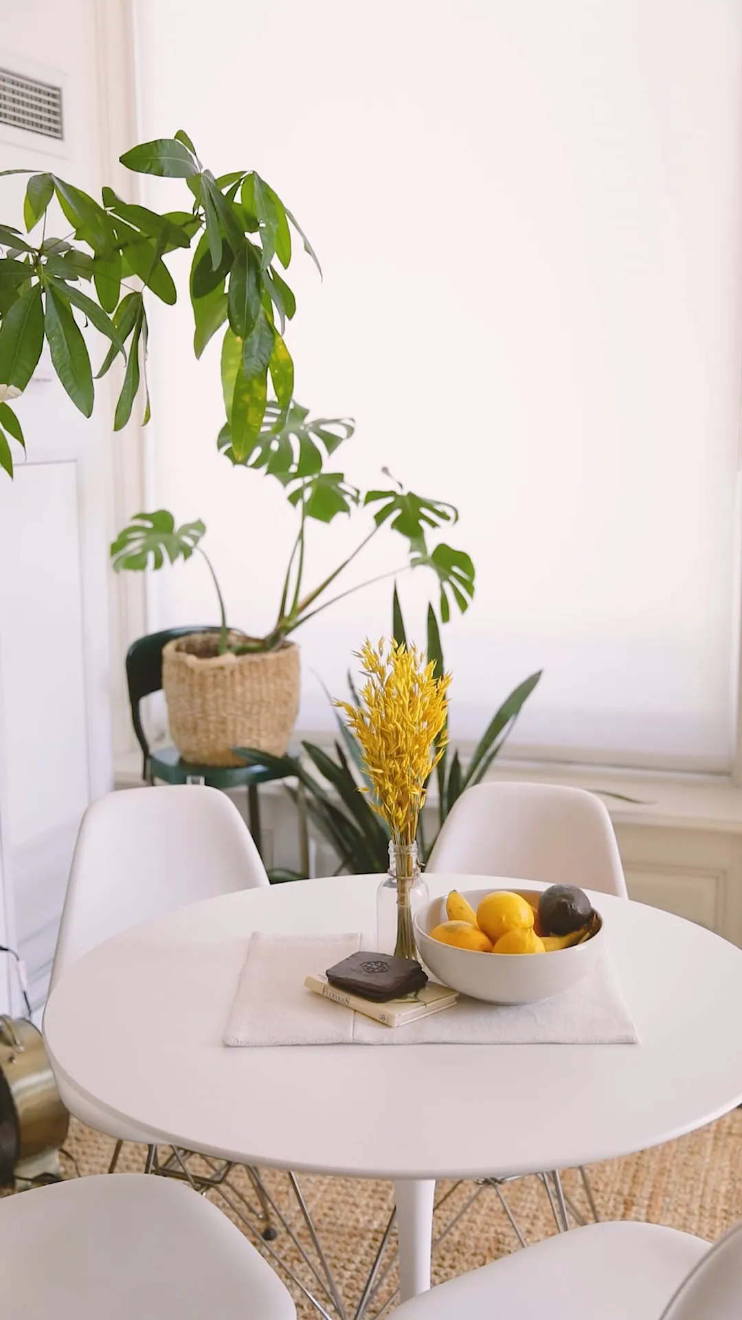 Stock Video from the Catch the Sun Pack | Packsia