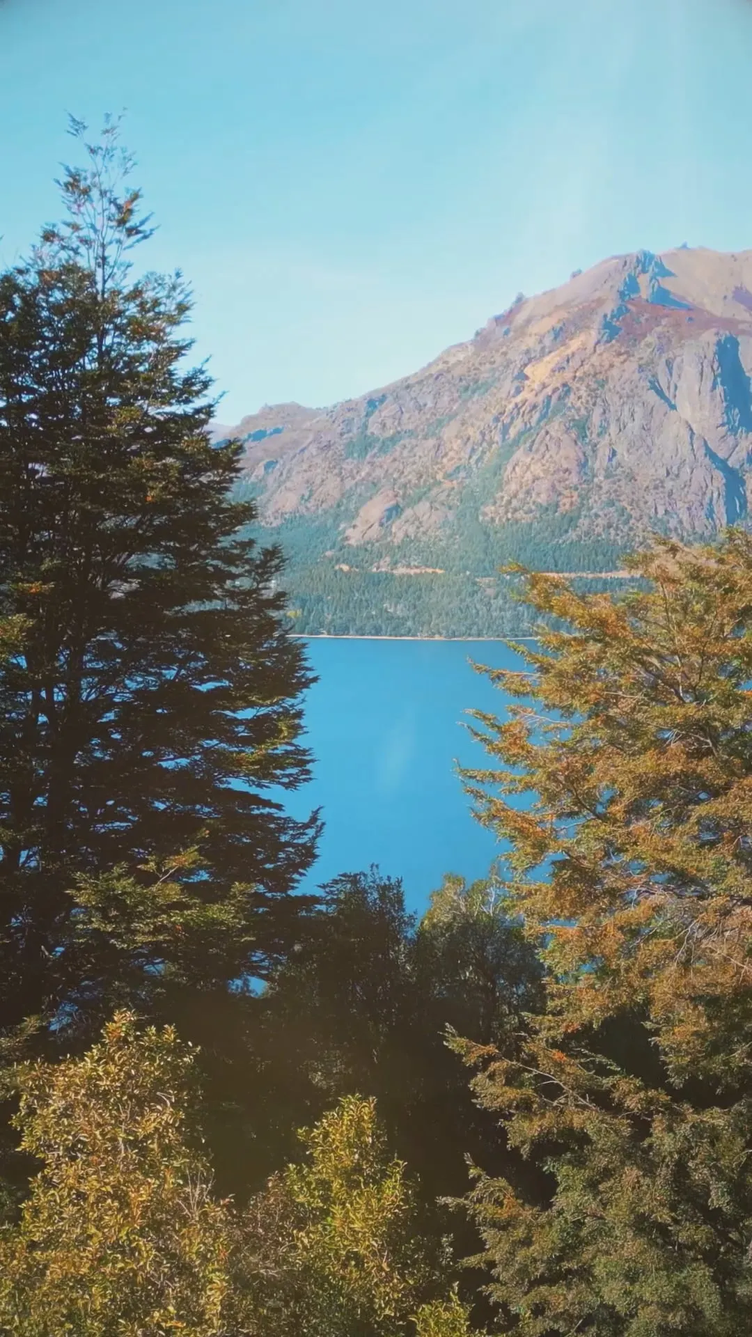 Stock Video from the Utah Foliage Pack | Packsia