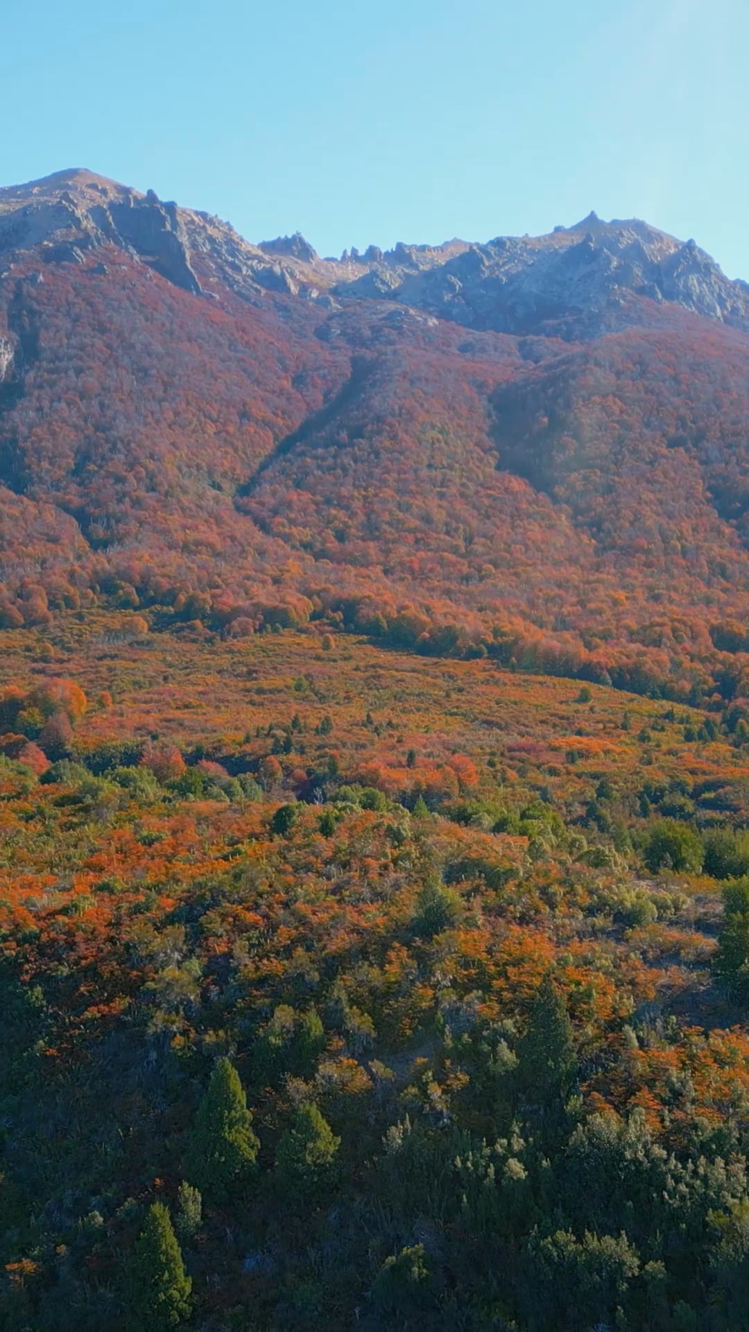 Stock Video from the Autumn Vegetables Pack | Packsia