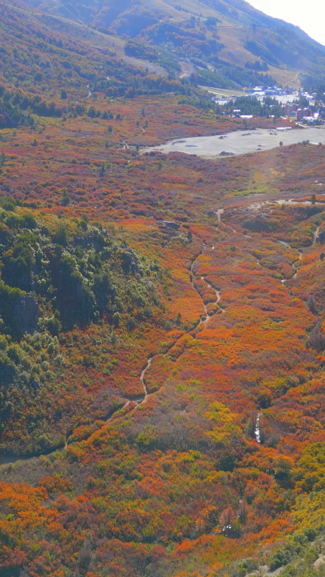 Stock Video from the Autumn Vegetables Pack | Packsia