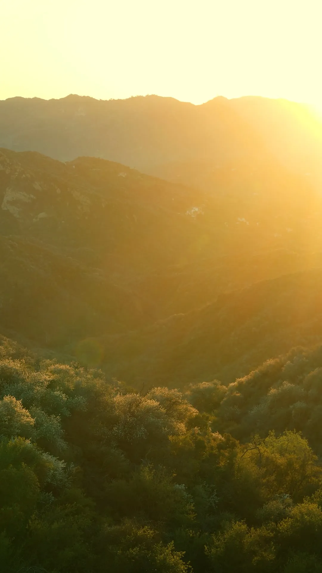 Stock Video from the Utah Foliage Pack | Packsia