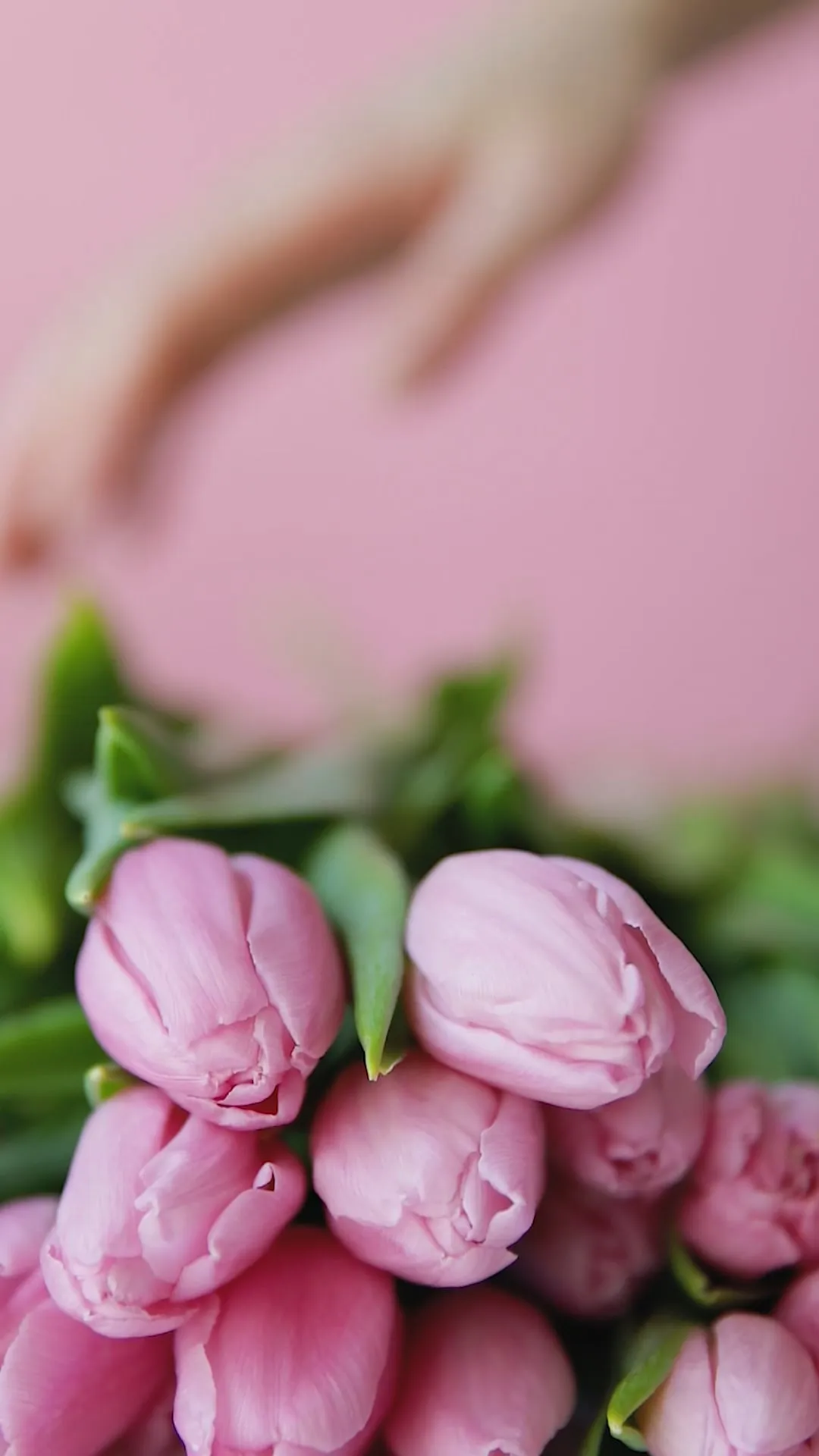 Stock Video from the Luxury Date Pack | Packsia