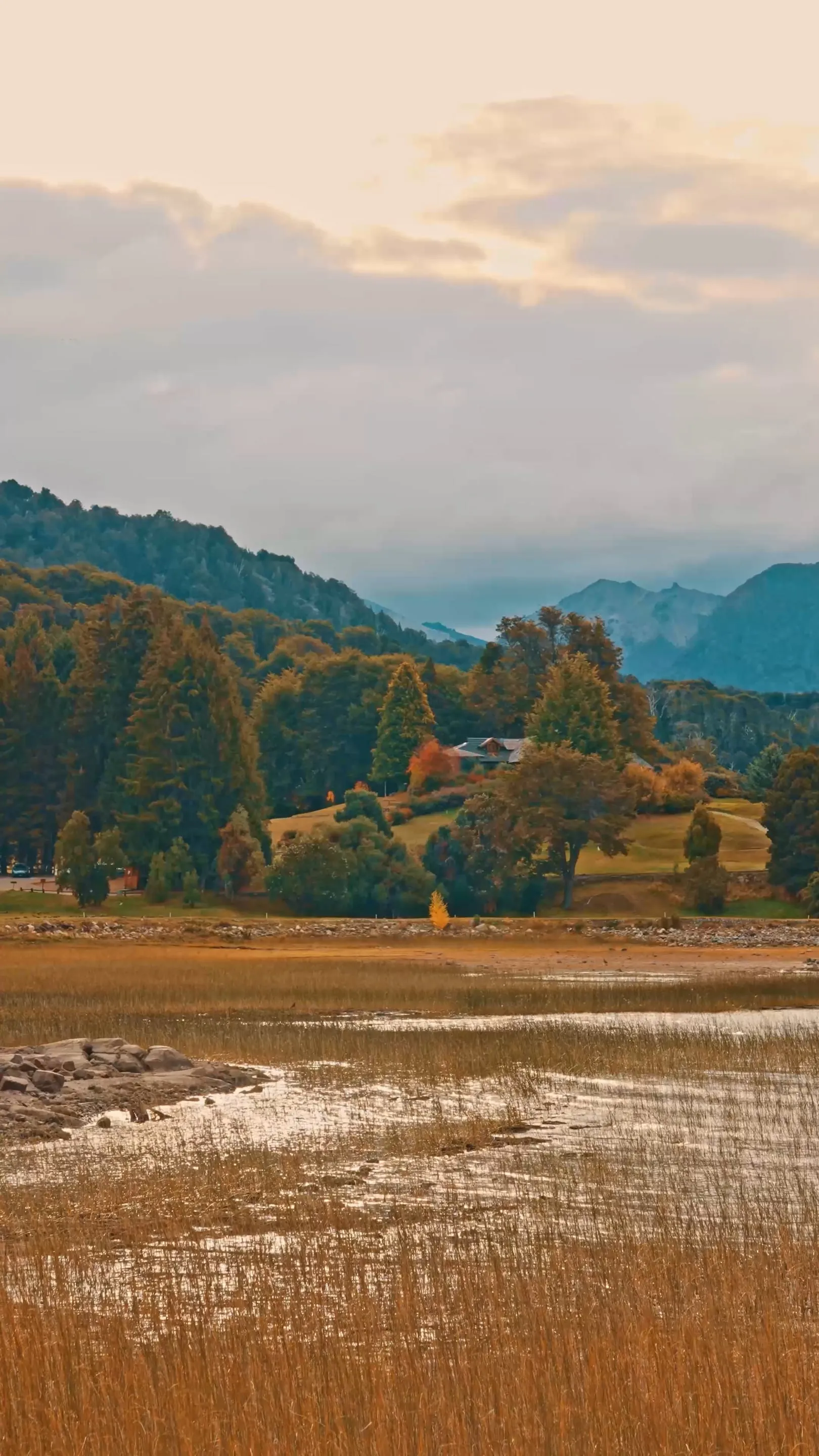 Stock Video from the Utah Foliage Pack | Packsia