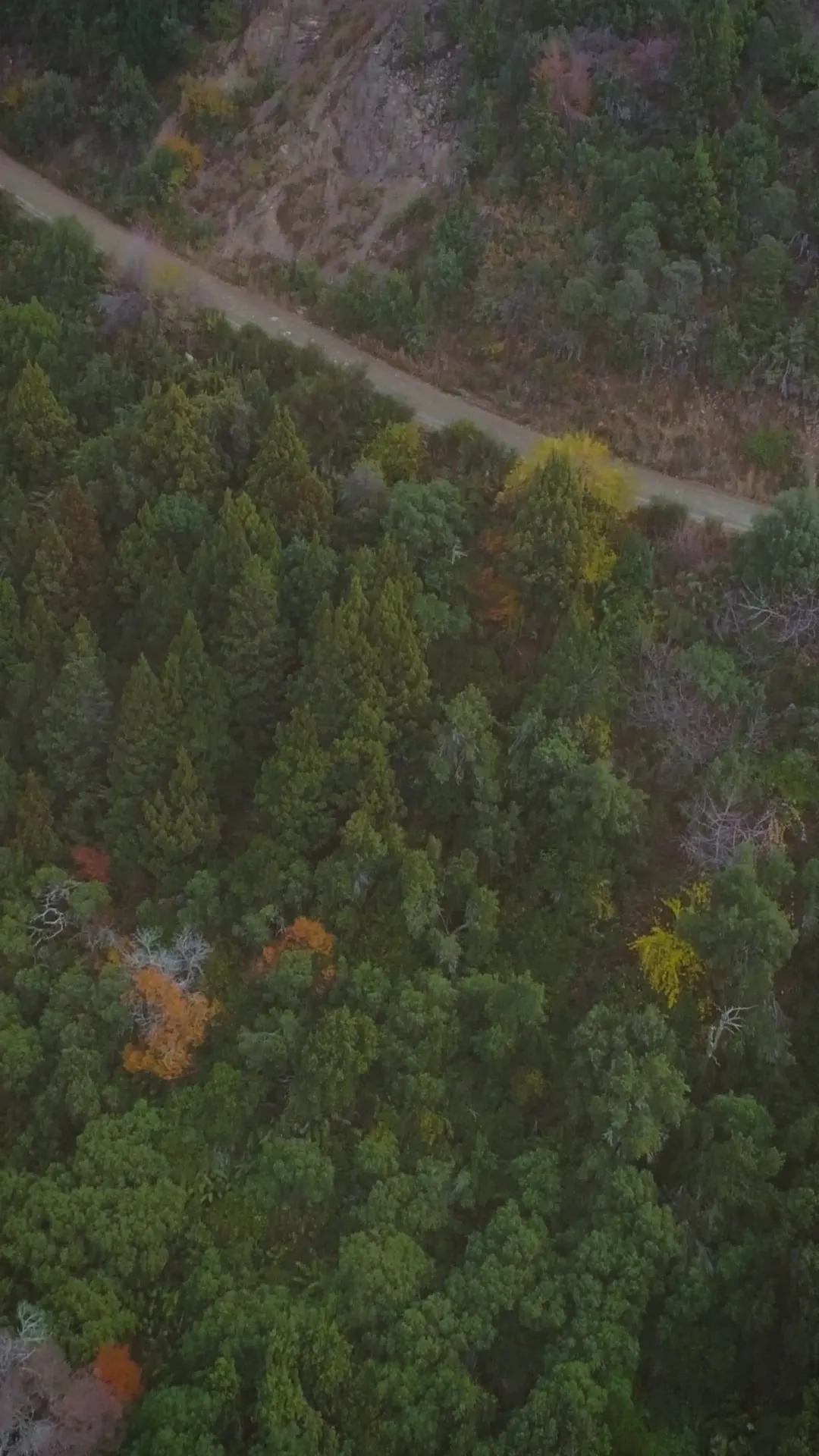 Stock Video from the Utah Foliage Pack | Packsia