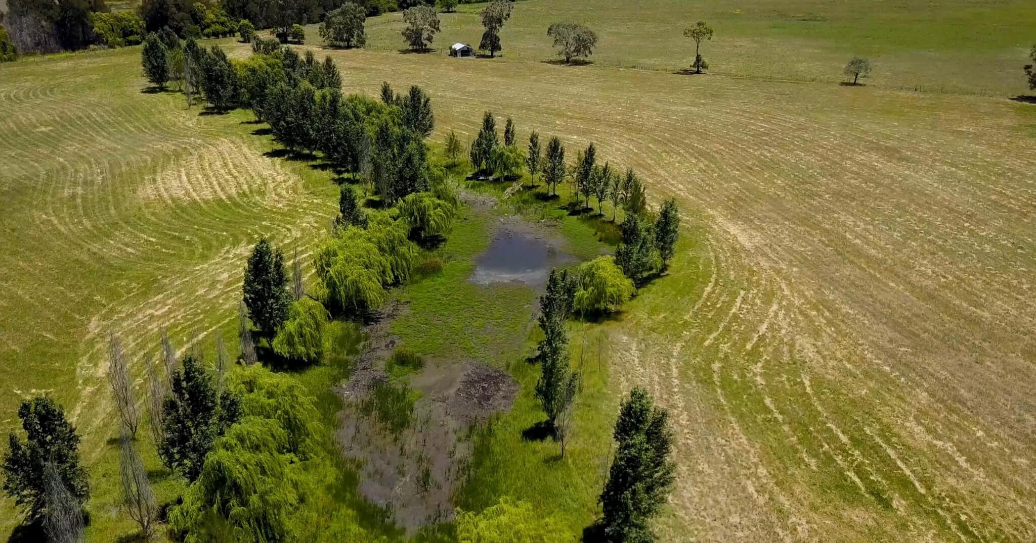 What is Natural Sequence Farming?