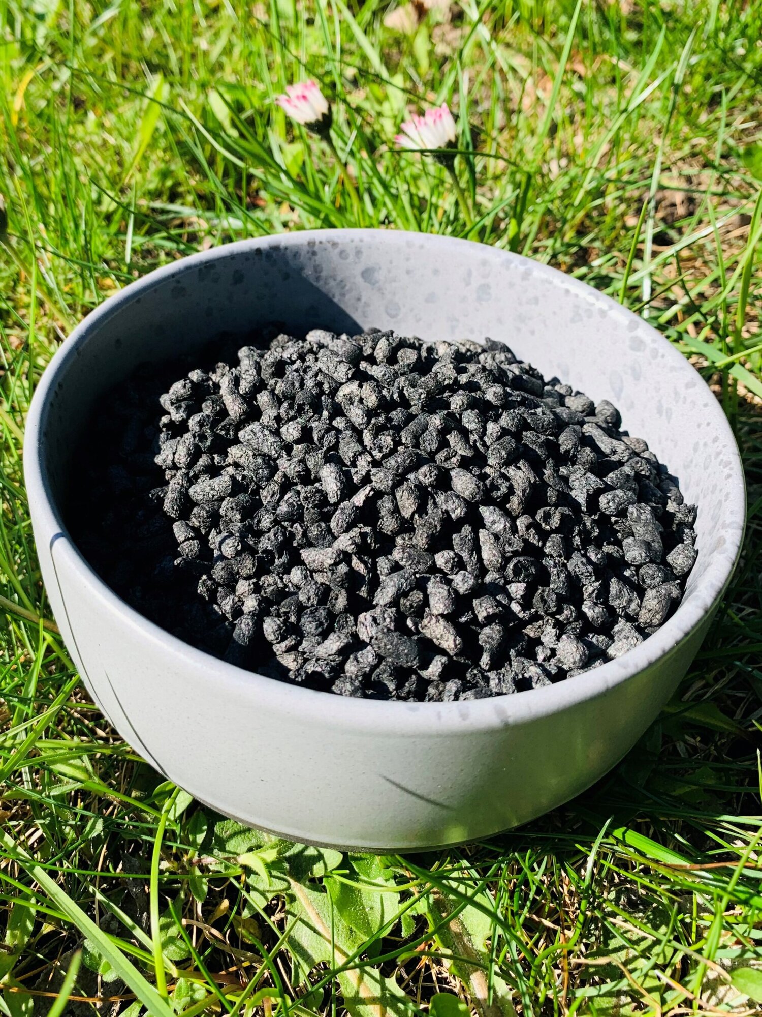 Envigas HQ BioCarbon can save Swedish steel industry