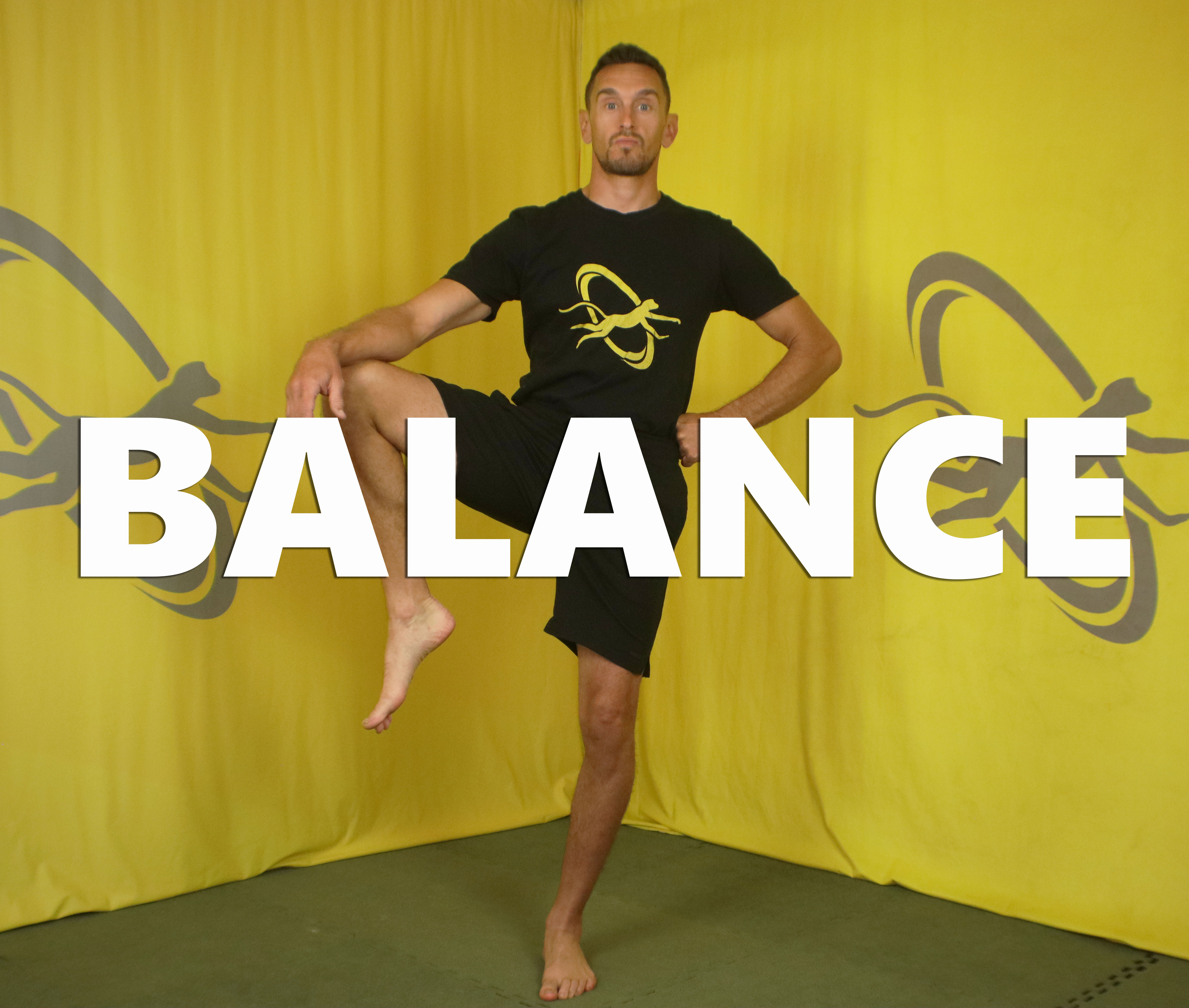 Principles of Movement