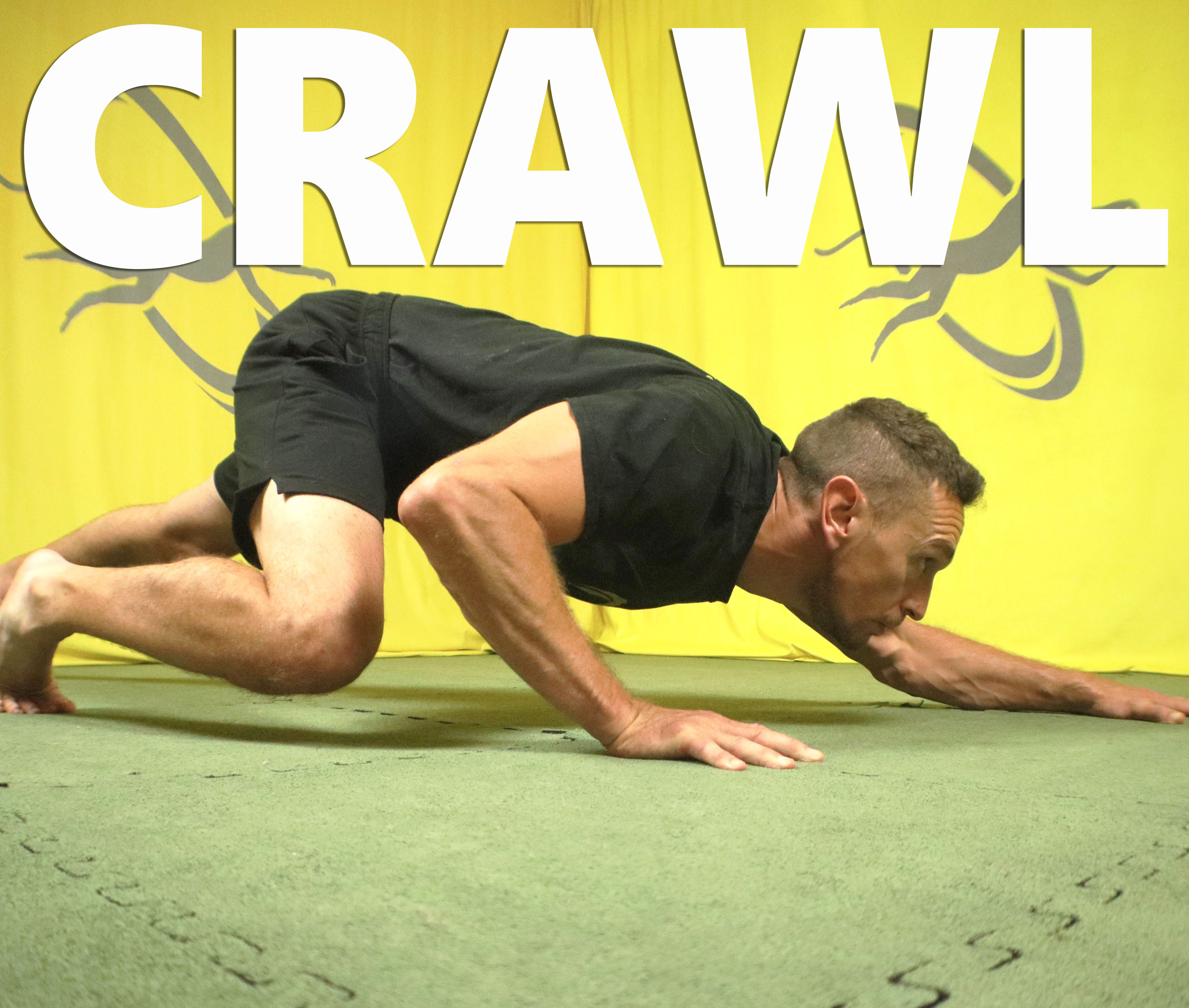 Principles of Movement