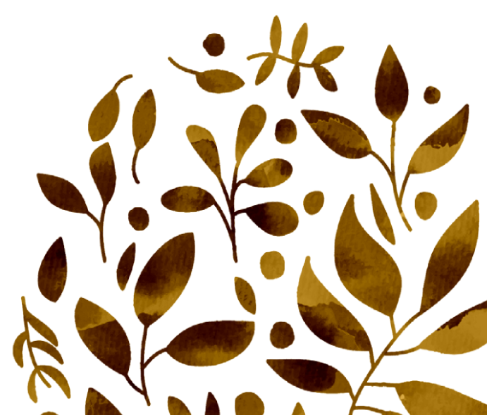 Facilities - Great Mount Coco Lagoon