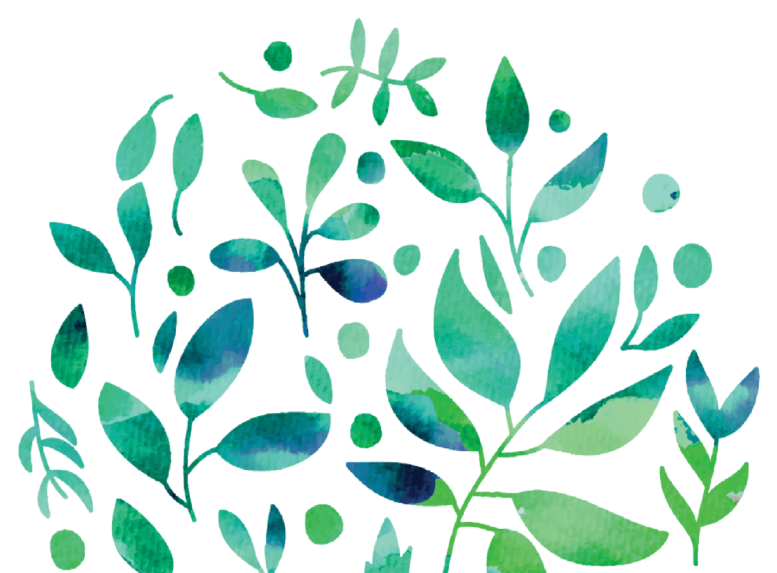 Experiences of a lifetime in Pollachi