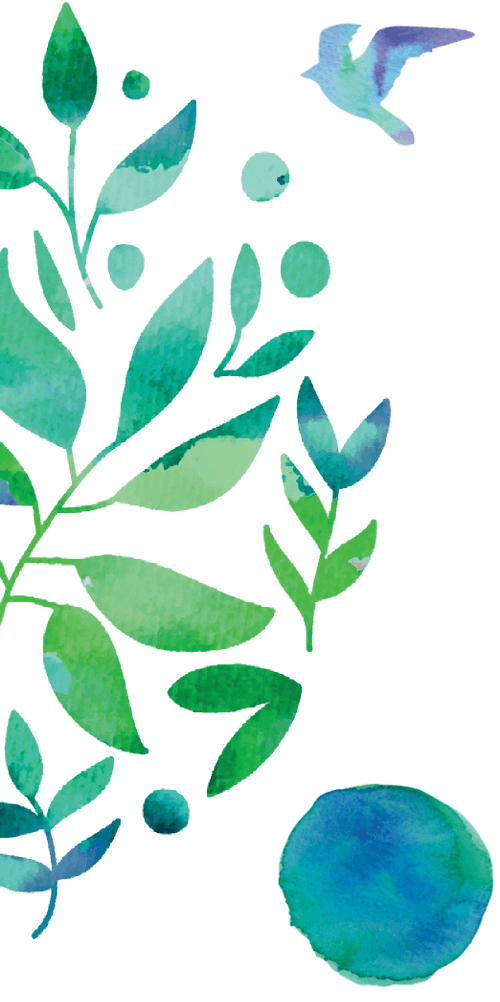 Facilities - Great Mount Coco Lagoon