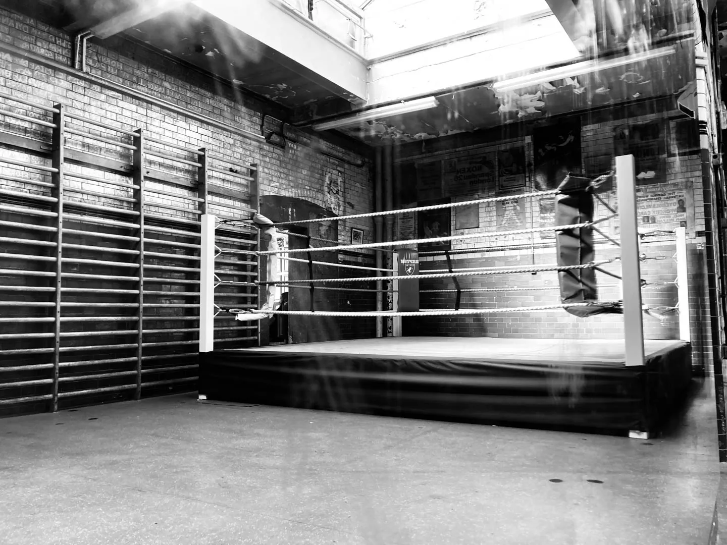 History - Repton Boxing Club