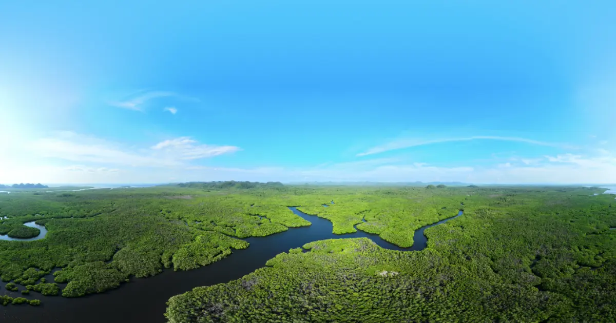 Wovoka - Field Notes