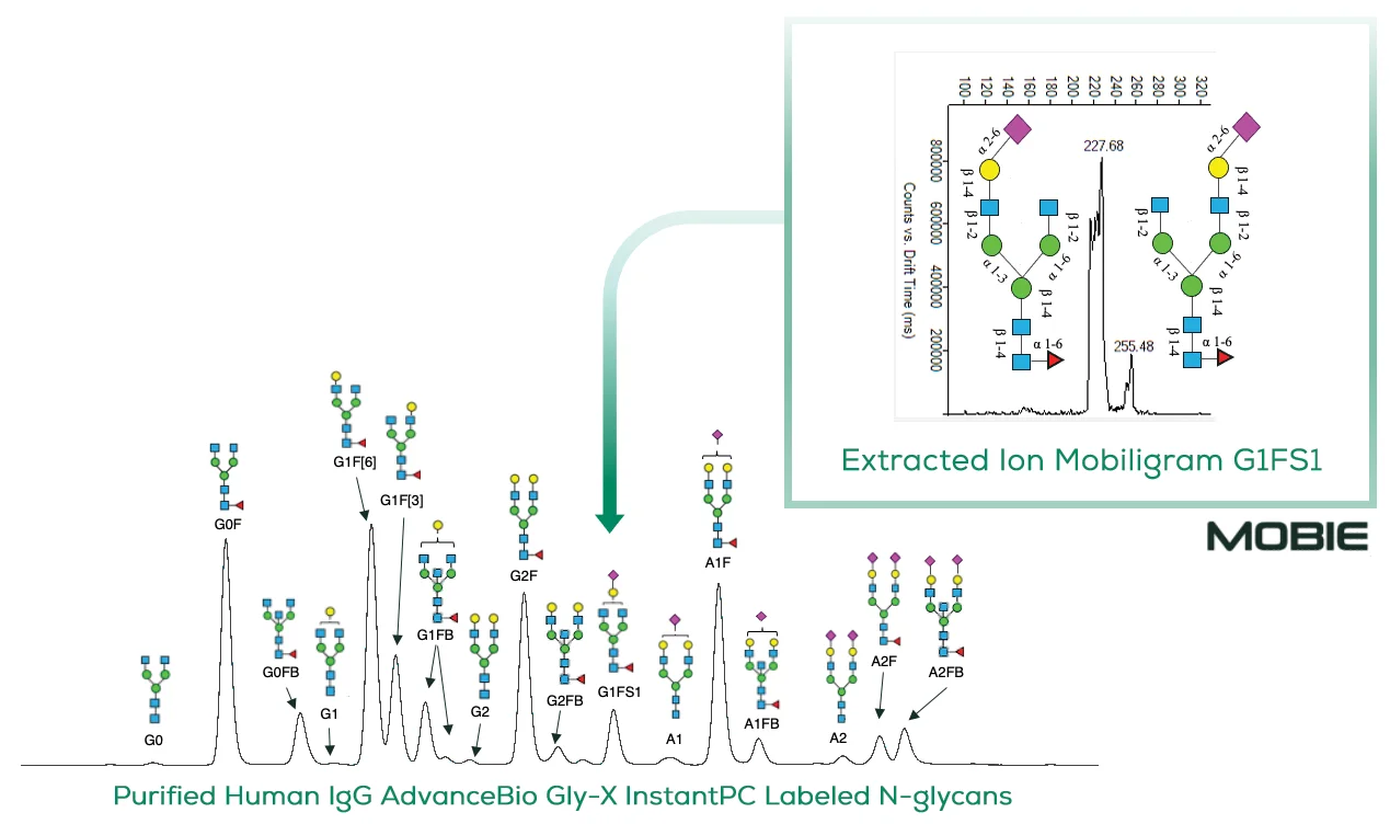 Glycan Analysis | MOBILion Systems Inc.