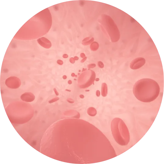 Vaginox: At-home Vaginal pH Test Strips | Diagnox