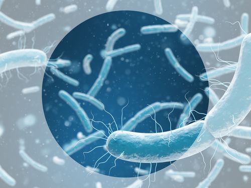 Understanding the Presence of Nitrite in Urine