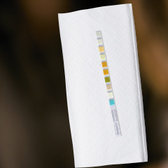 Urinox-10: Multiparameter Urine Test Strips | Diagnox
