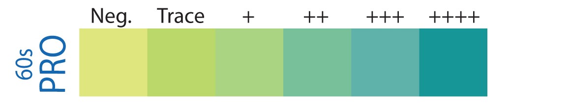 10 Parameter Urinalysis Test at Home