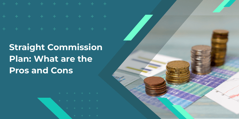 Advantages and Disadvantages of Straight Commission Plan