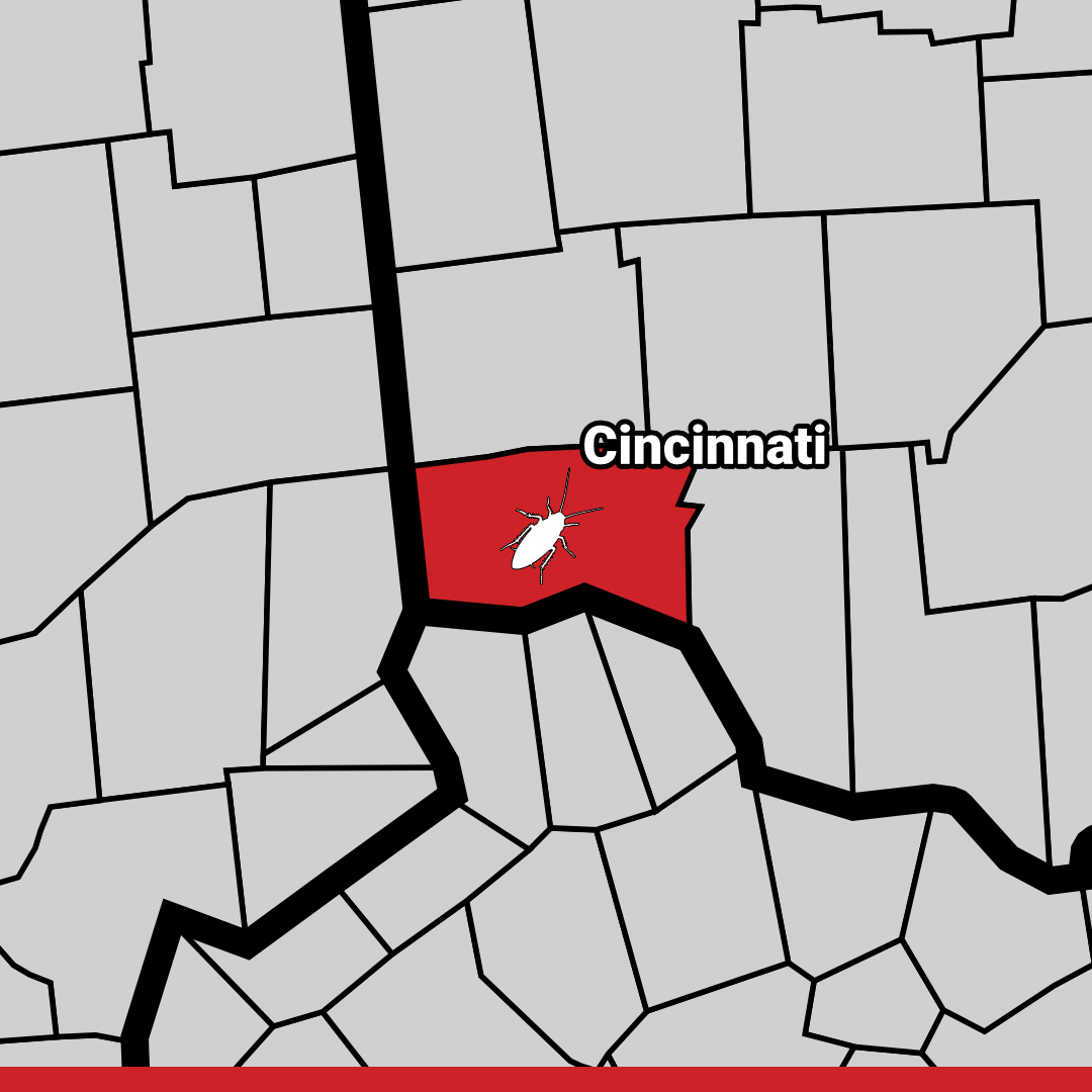 Pest Control Cincinnati | Exterminator Cincinnati, OH | Termite ...