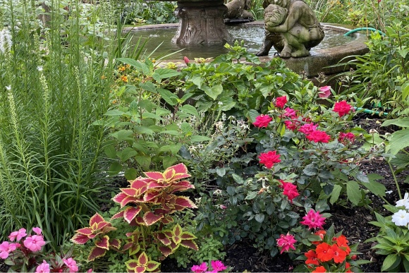 Amenities – Fordham Hill NYC Co-op