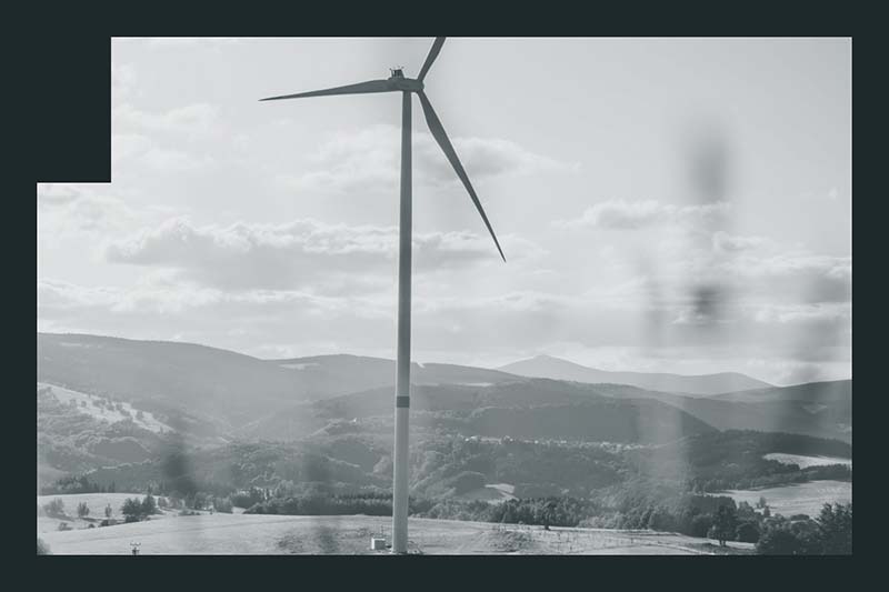 Net-Zero Goals & Targets | How to Get Started | Sustain.Life