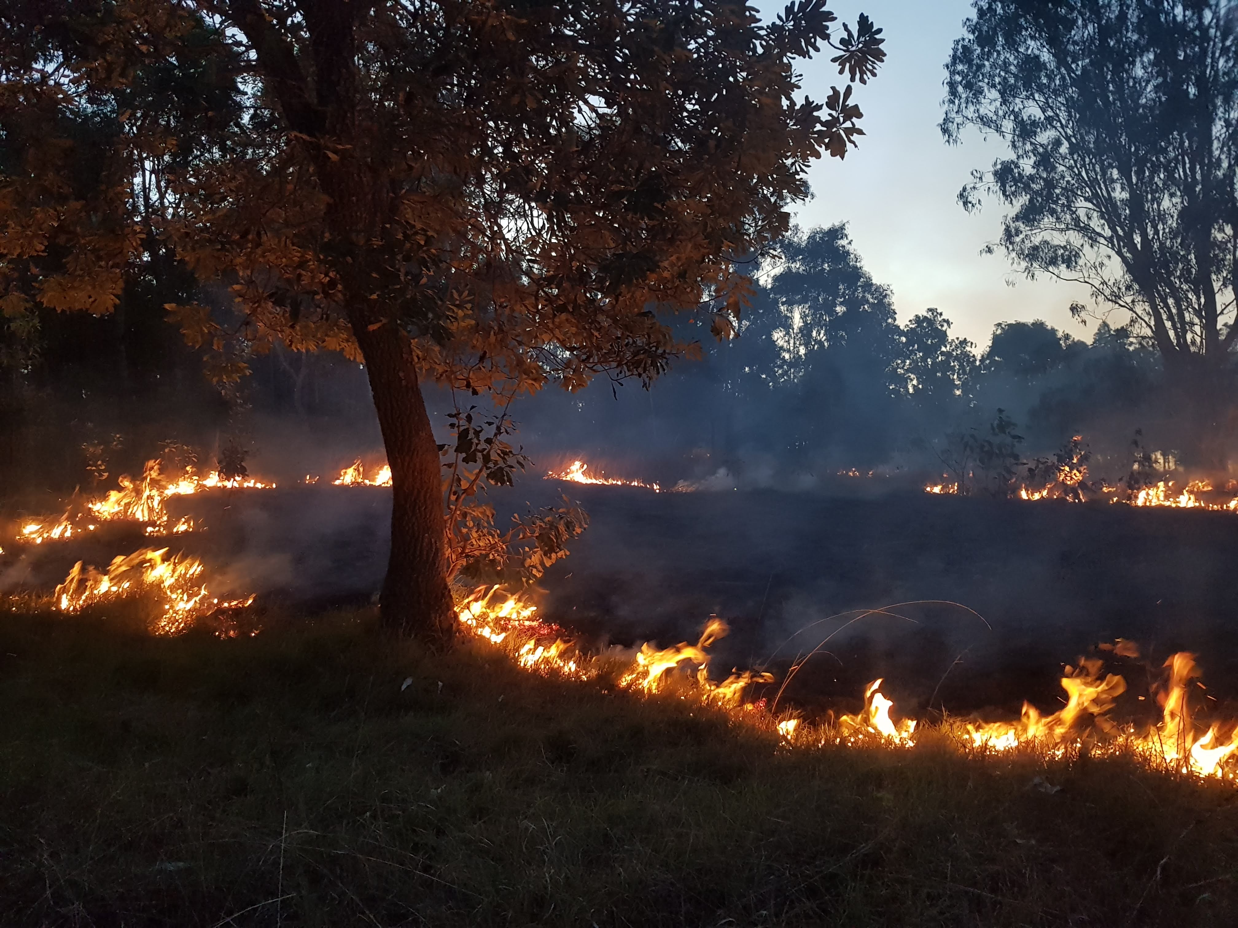 First Nations Systems Thinking | Common Ground