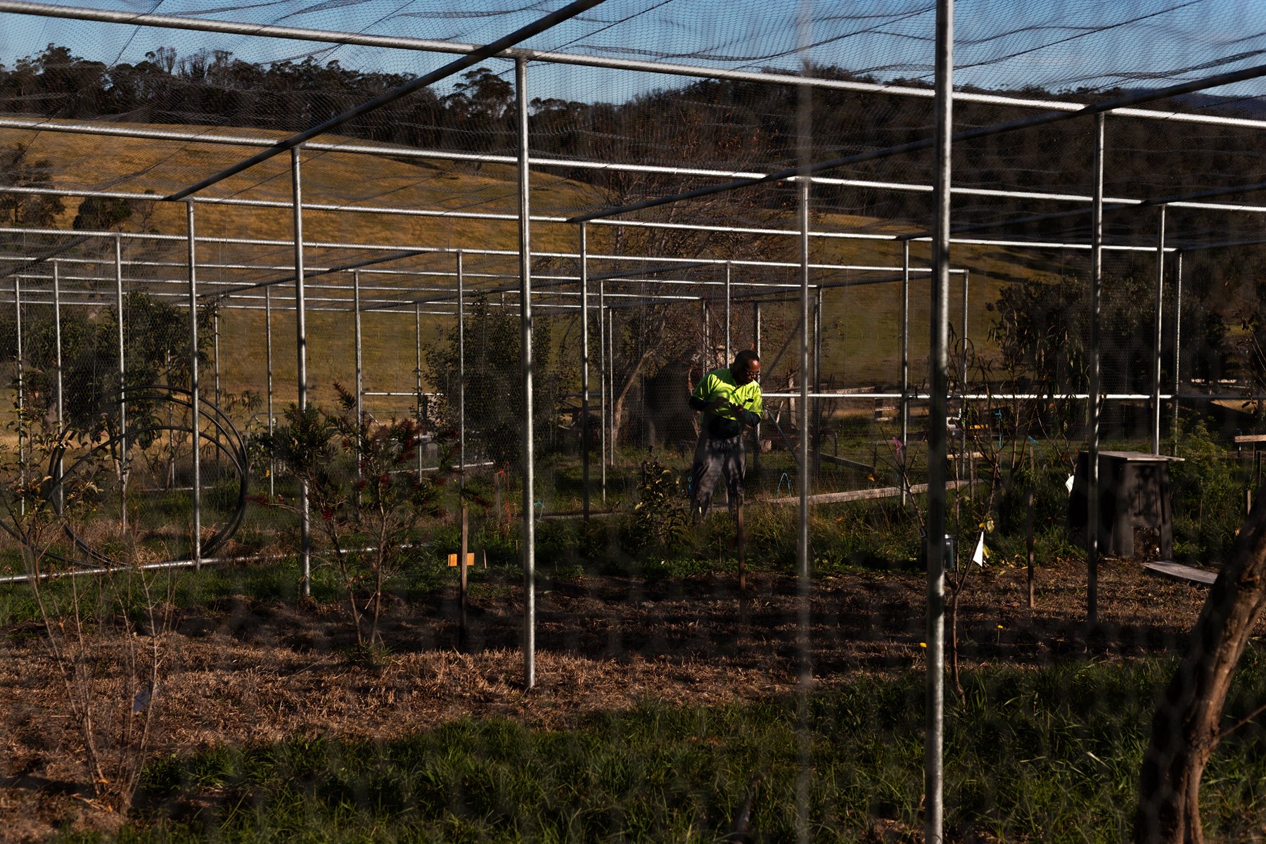 Black Duck Foods Sowing Seeds for First Nations Food Sovereignty ...