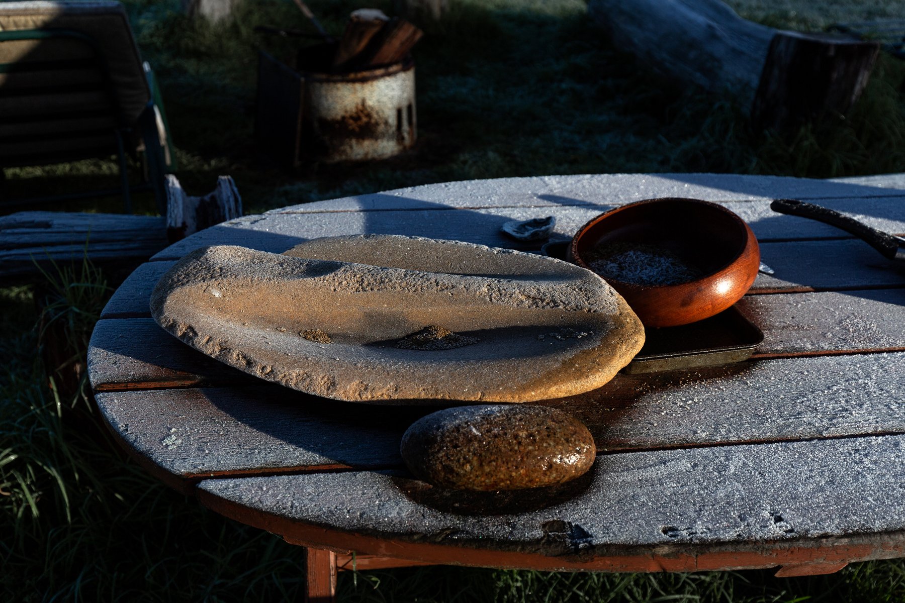 Black Duck Foods Sowing Seeds for First Nations Food Sovereignty ...