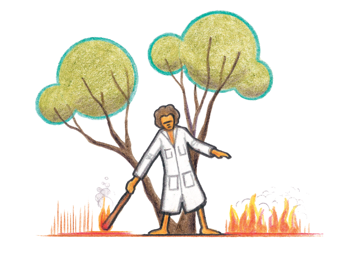 The First Scientists | Common Ground