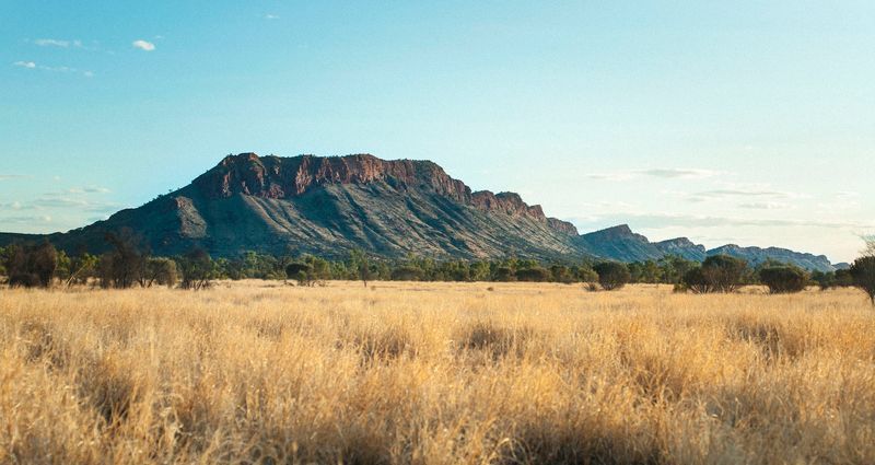 Death and Sorry Business | Common Ground