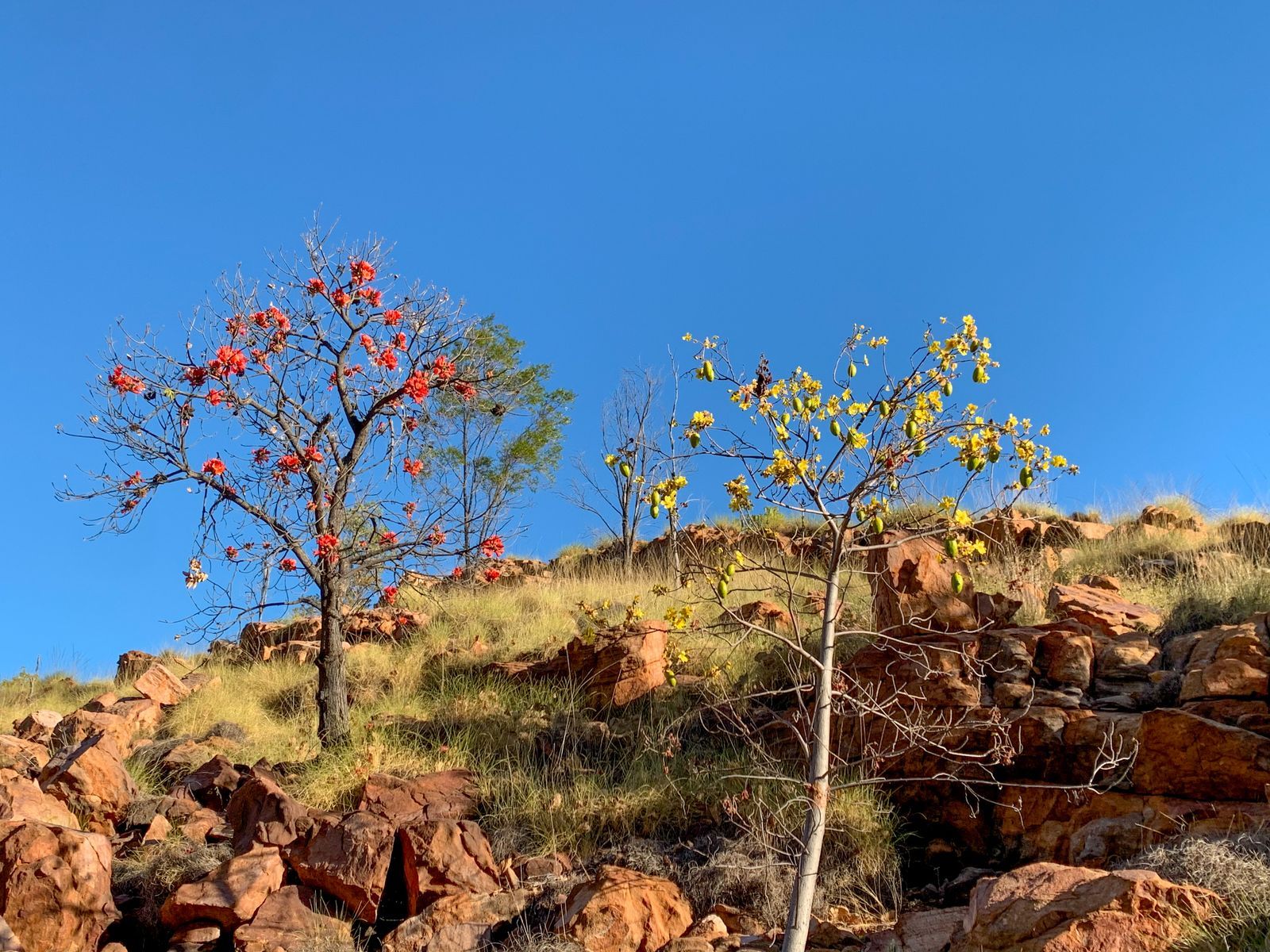 First Nations Legal Systems | Common Ground