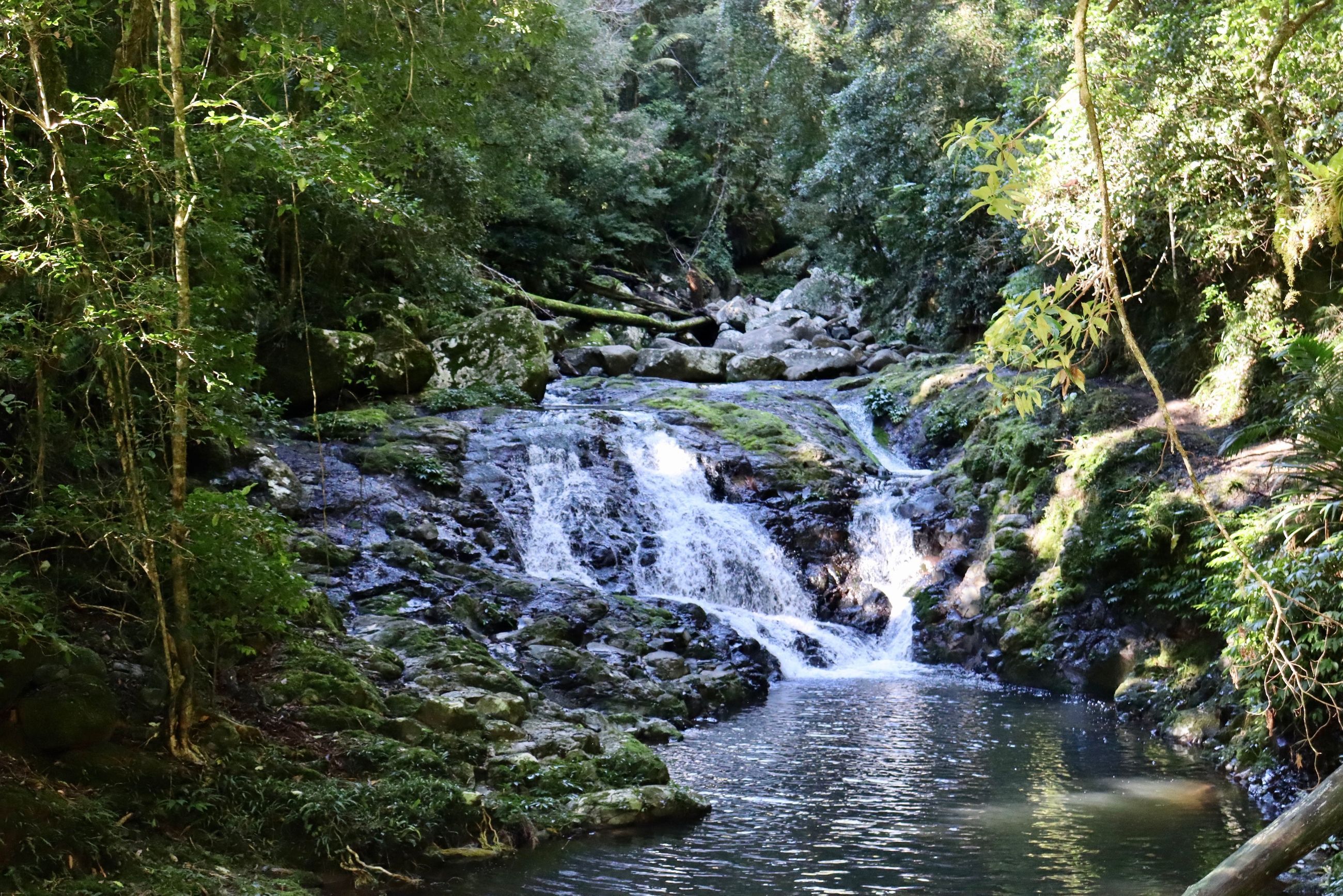 What Is Country? | Common Ground