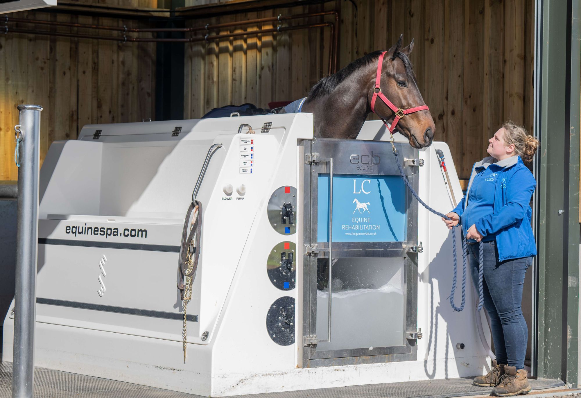 LC Equine Rehabilitation