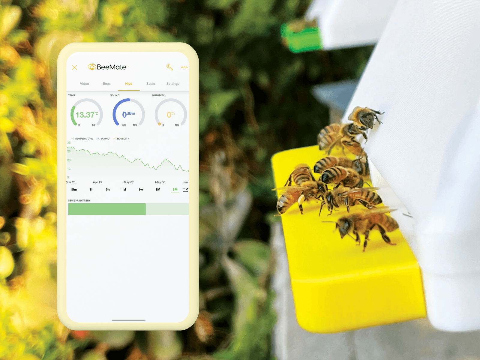 BeeMate: AI-Powered Hives