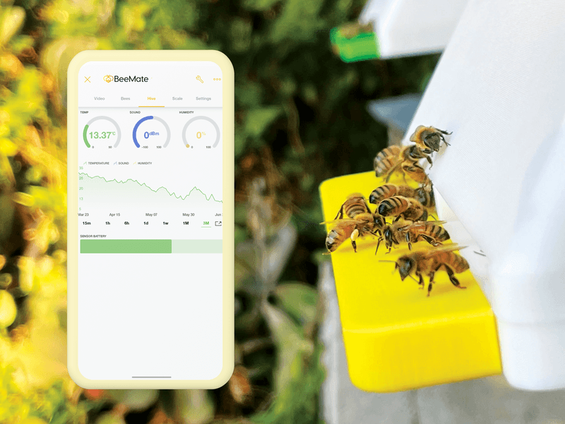 BeeMate: AI-Powered Hives