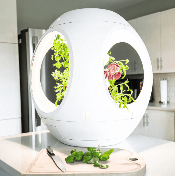 Plantaform: Indoor Gardening Innovation