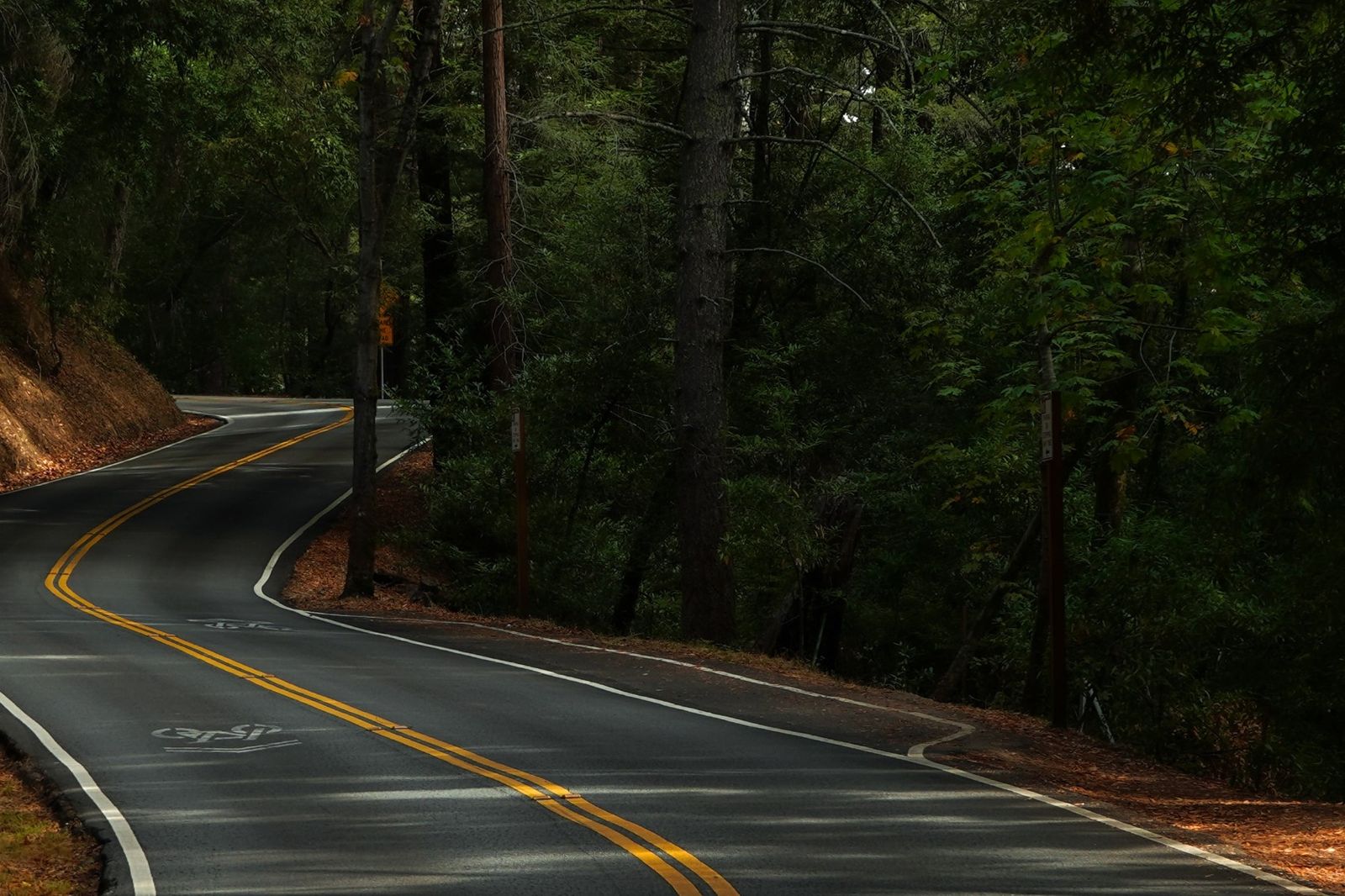 Phlebotomy Tips: How to Help a Fainting Patient During a Blood Draw ...