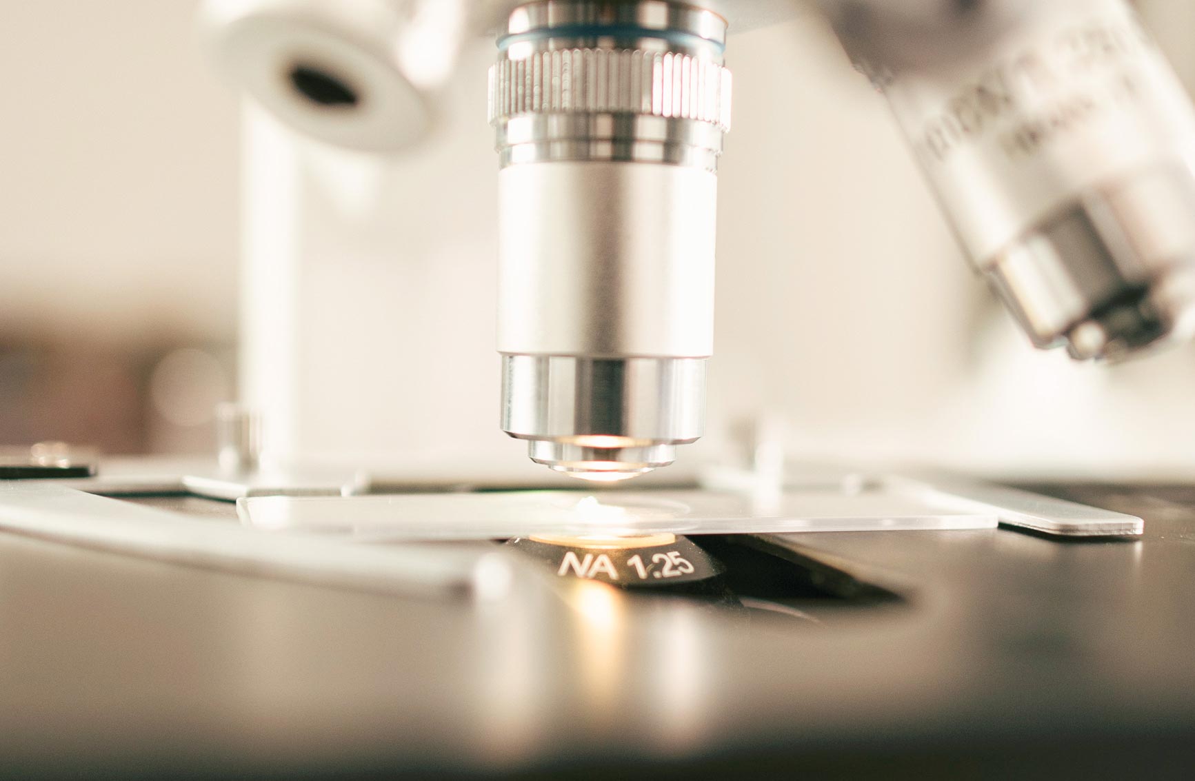 what-are-the-most-common-lab-tests-blog-getlabs