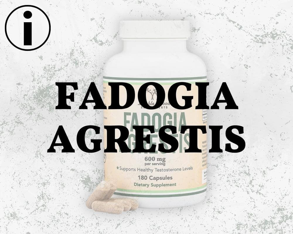 Tongkat Ali and Fadogia Agrestis [My Experience & Benefits]