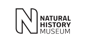 The global leaders in social value | Simetrica-Jacobs