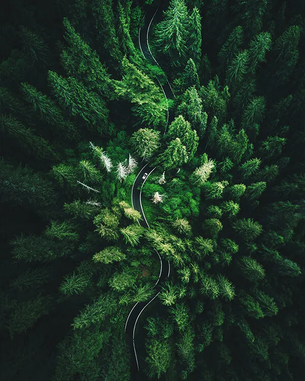 Under Body Wash: The Key To Caring For Your Undercarriage | Turtle Wax® Pro