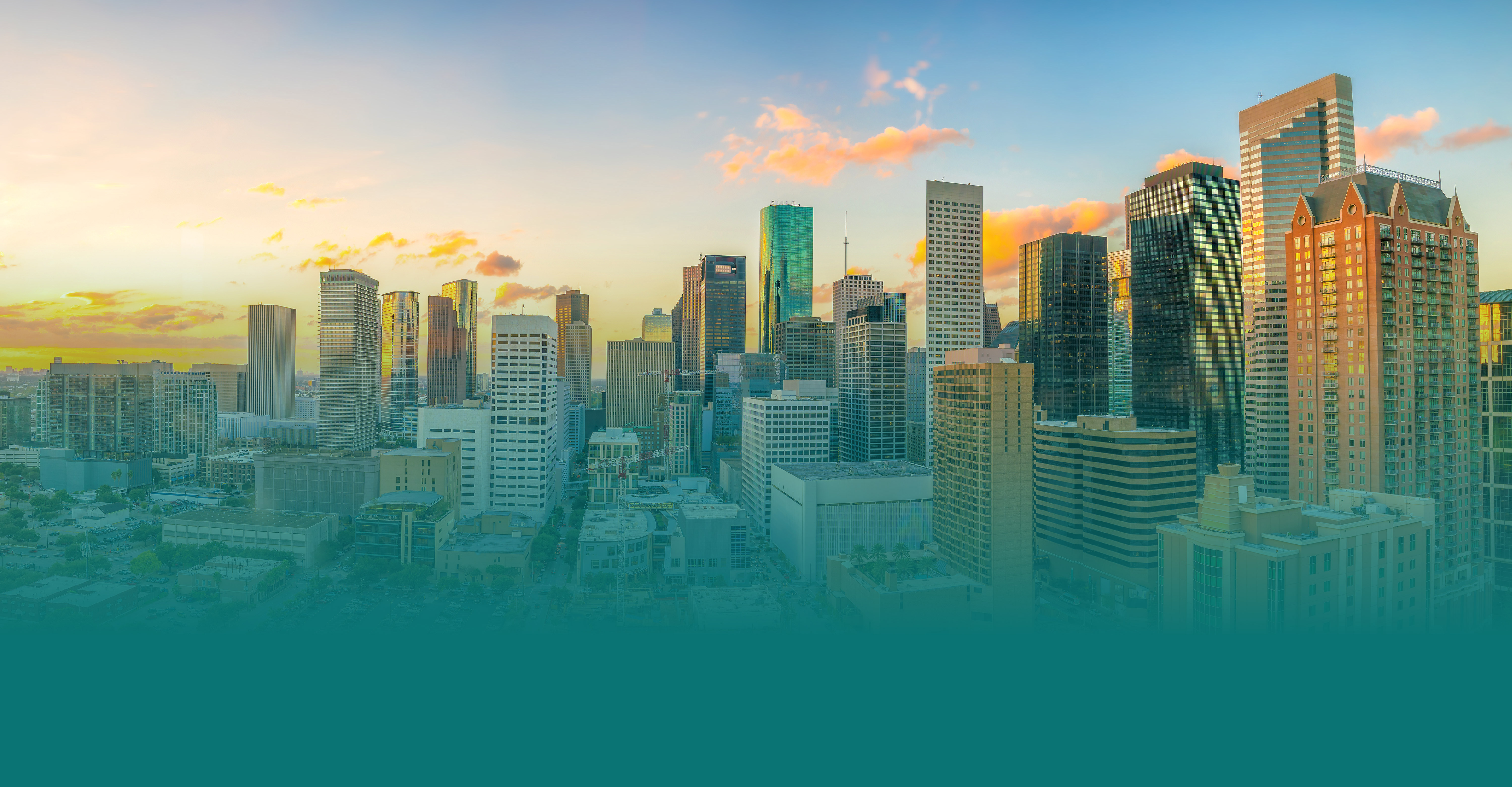 Houston Business Summit