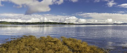 RecordXpress Locations Across Canada