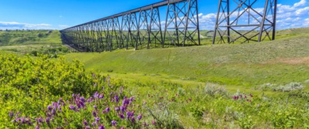 RecordXpress Locations Across Canada