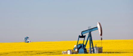 RecordXpress Locations Across Canada