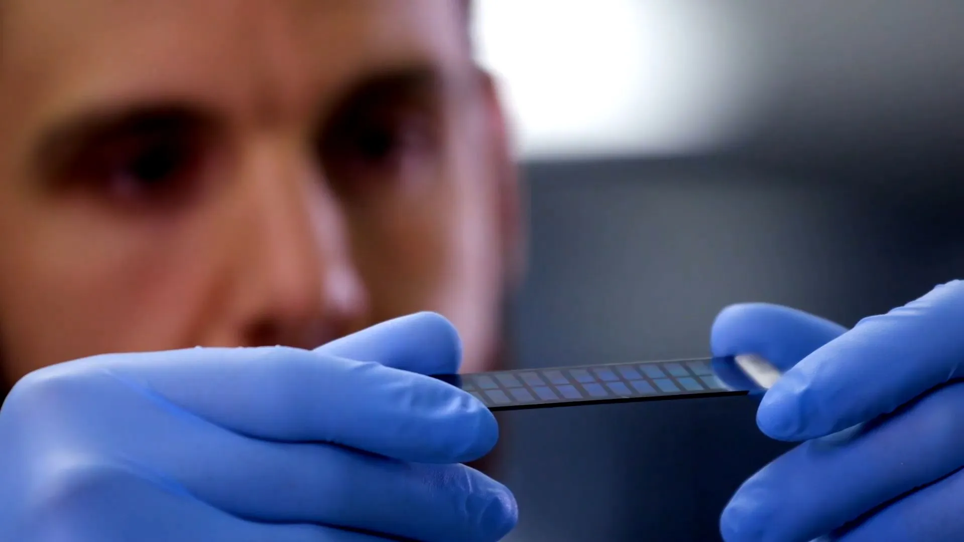 Privacy Policy | Gene by Gene – Laboratory Services