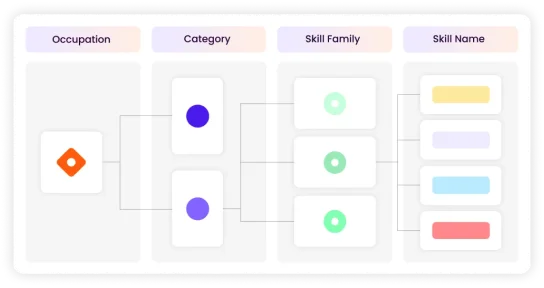 #1 Skills Assessment & Skills Intelligence Platform | iMocha